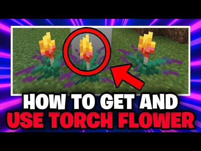 How to get and use every flower in Minecraft 1.20?