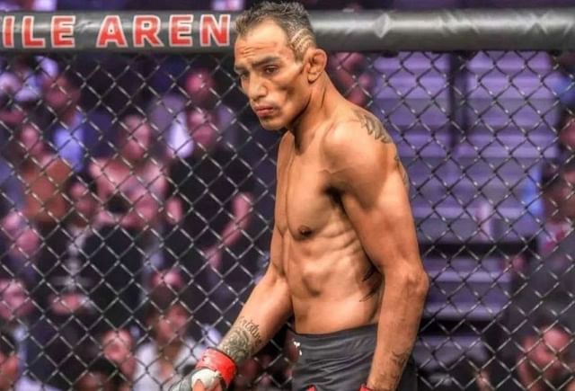 What is Tony Ferguson's fighting style?