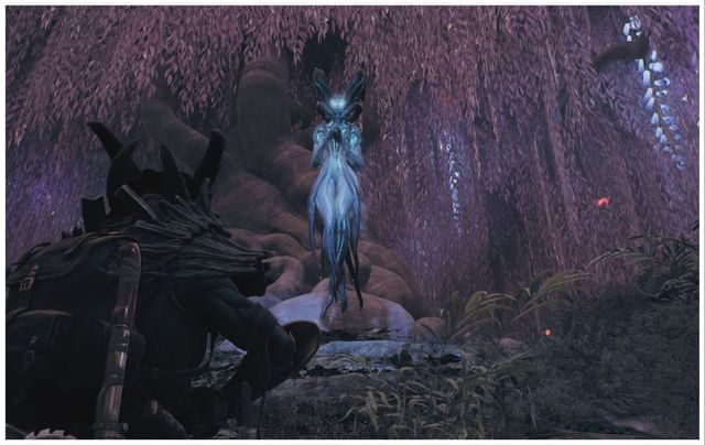 Meidra: All Remnant 2 Meidra questions and answers: The Doe’s Eyes vs ...