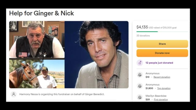 Who did Nick Benedict play in The Young and the Restless? Characters ...