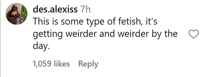 Japanese: "Dude said Animorphs": Toco Japanese man dog costume leaves ...