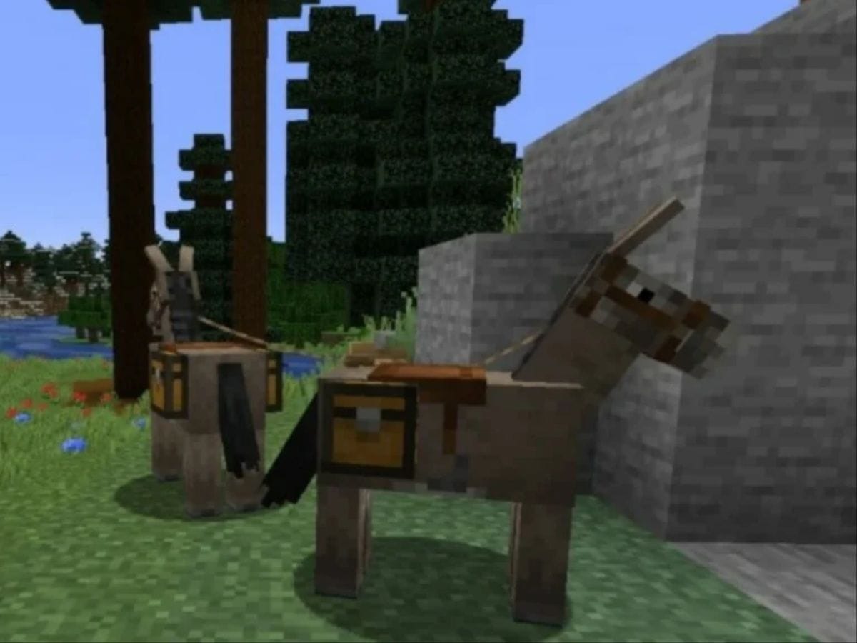 pets: How to heal pets in Minecraft