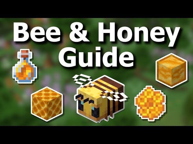 Minecraft Bees: Spawning, Behavior, Attacking, Breeding & More