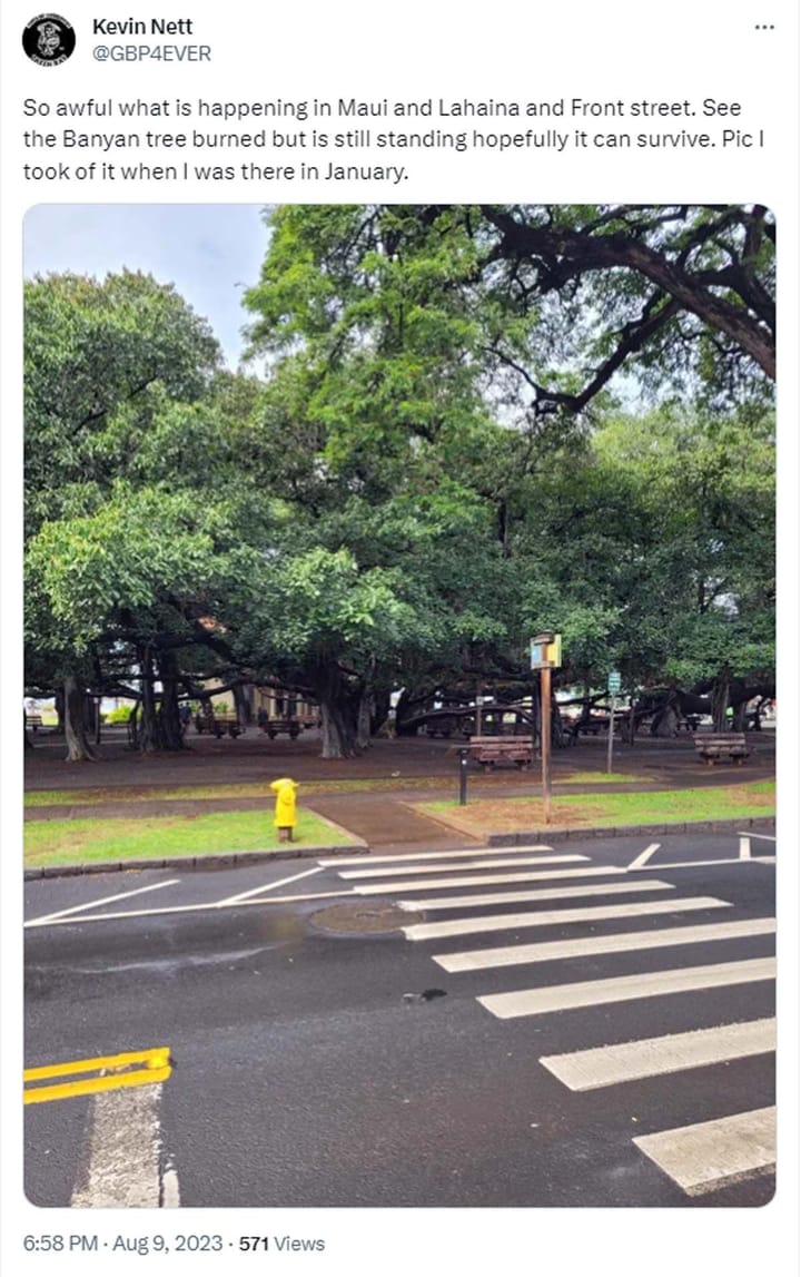 Lahaina: How did the fire in Maui start? Potential Lahaina Banyan tree ...