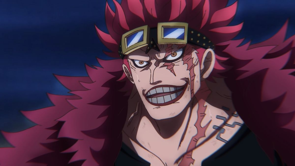 20 One Piece characters and where are they from