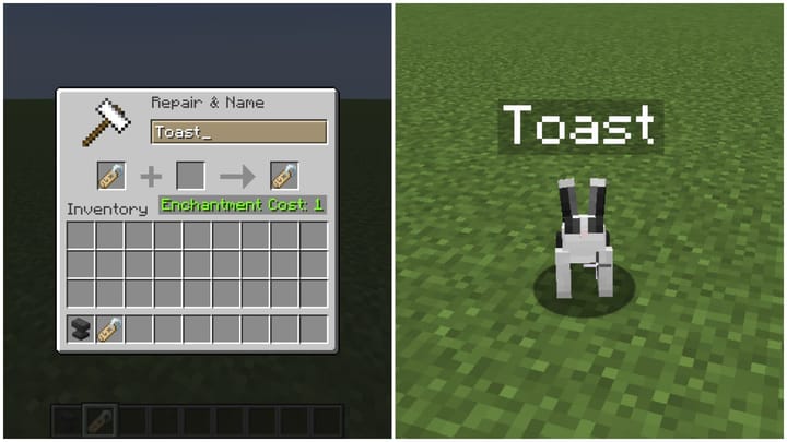 All name tag easter eggs in Minecraft 1.20