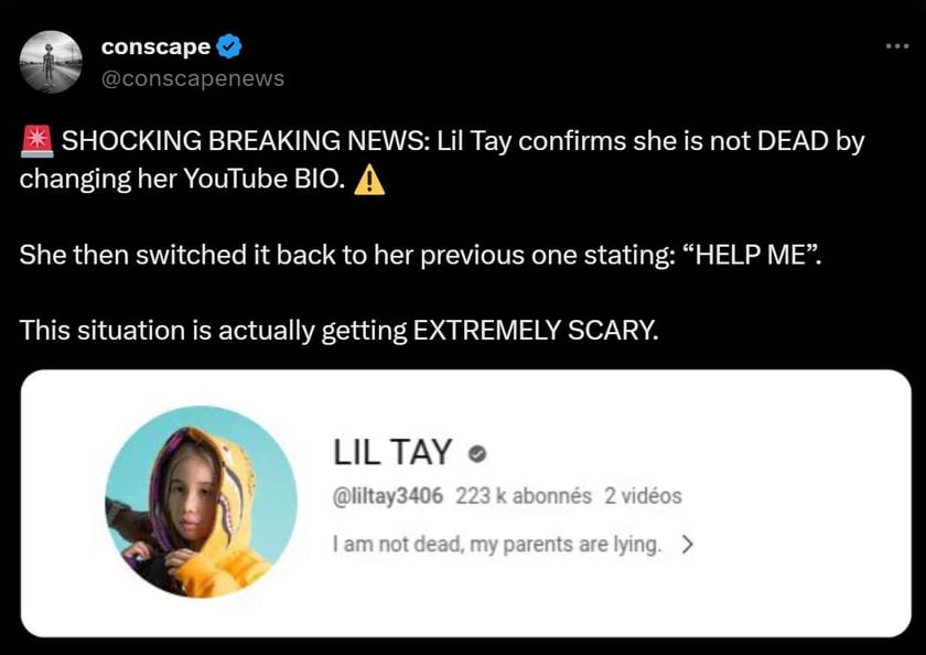 "Getting EXTREMELY SCARY": Lil Tay's 'Help Me' YouTube bio debunked as description leaves ...