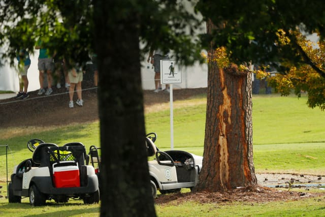 Man suffers spine and neck injuries after tree falls on golf cart at ...