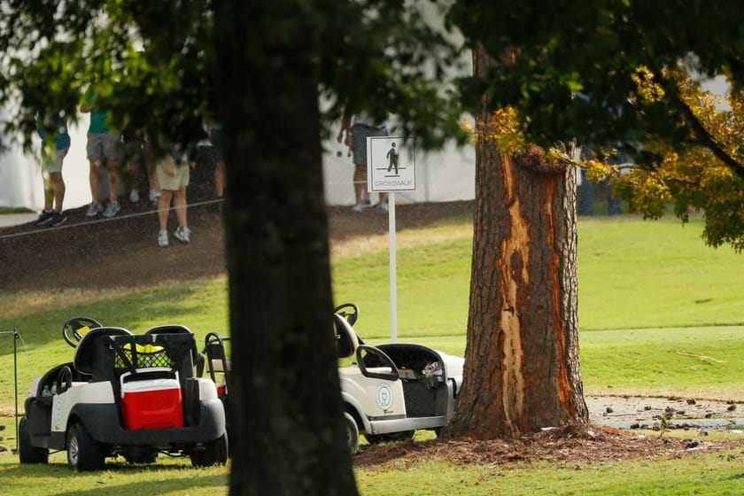 Man suffers spine and neck injuries after tree falls on golf cart at ...