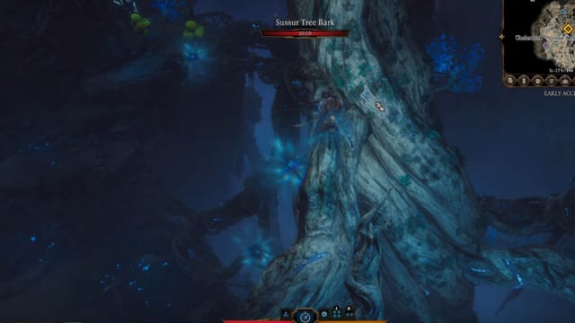 Where to find Sussur Tree Bark in Baldur's Gate 3?