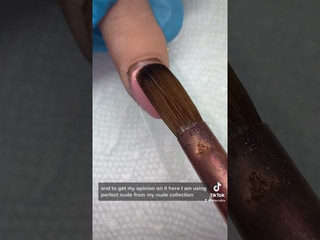 Anacrylics's Profile, Net Worth, Age, Height, Relationships, FAQs