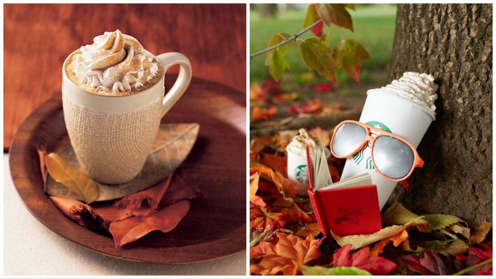 Fall Pumpkin Spice Latte Tumblr