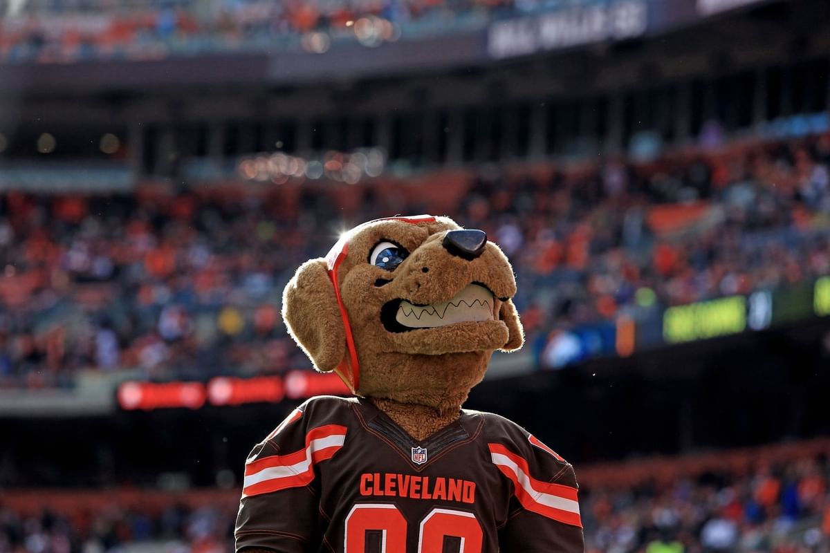 What Kind Of Dog Is Cleveland Browns’ Chomps?