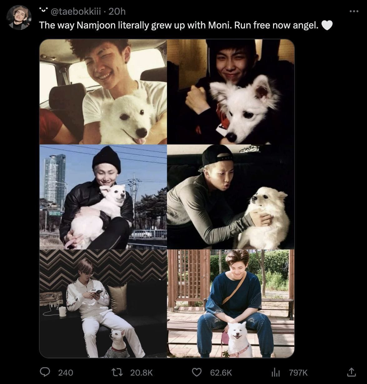 BTS' RM makes a heartbreaking announcement of his pet dog Moni's ...