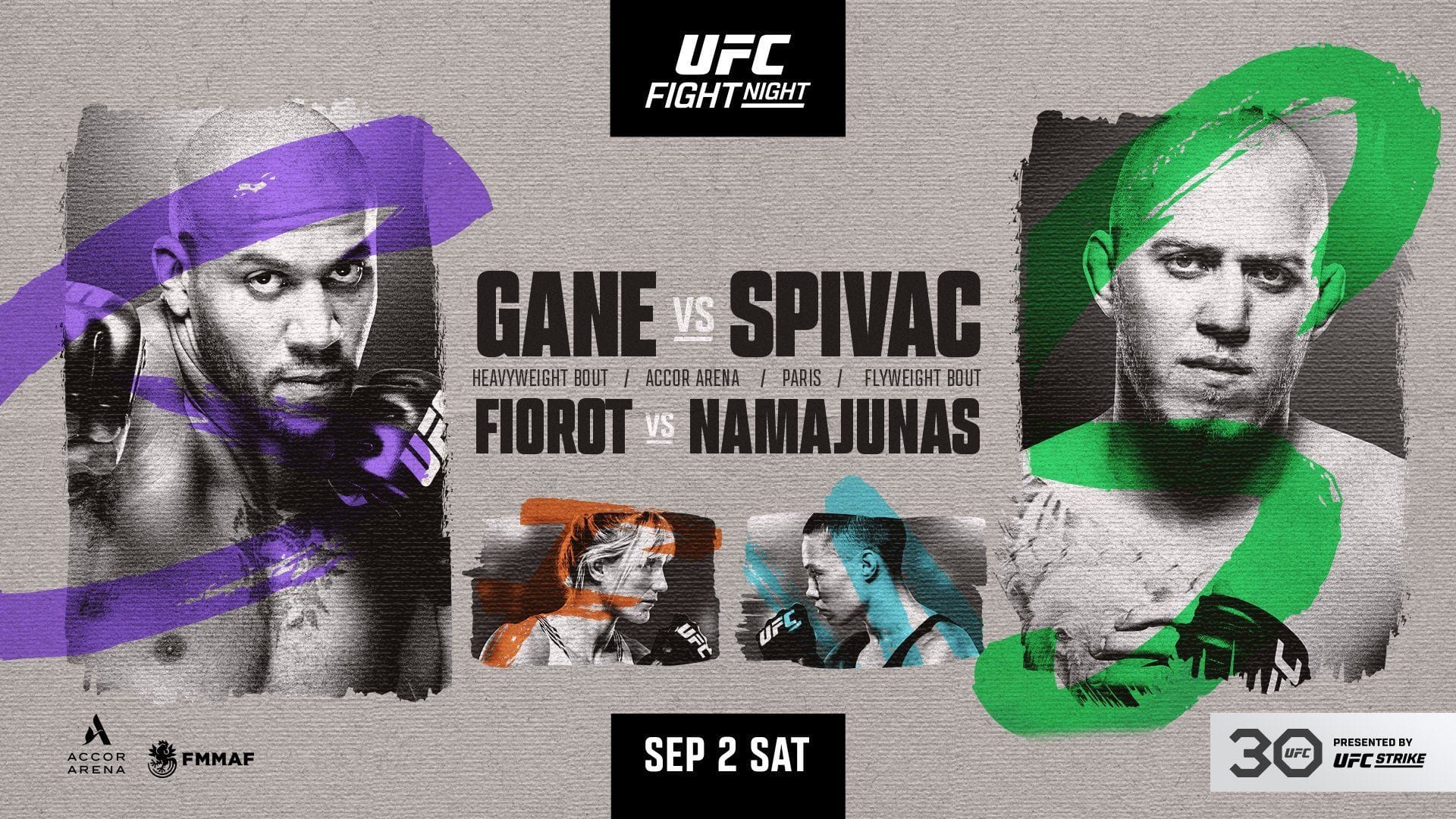 Ufc 178 Poster