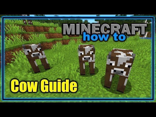 Top 10 real-world animals in Minecraft