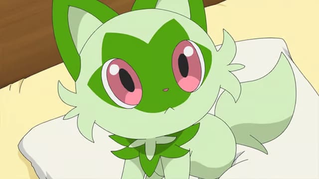 Pokemon: Pokemon Scarlet and Violet Fuecoco, Sprigatito, and Quaxly ...