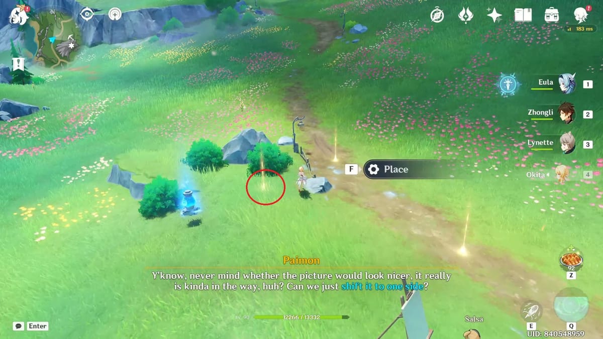 Genshin Impact Salsa puzzle locations and solutions