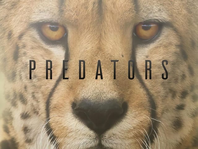 What is Netflix's Predators all about? Release date, plot, and more
