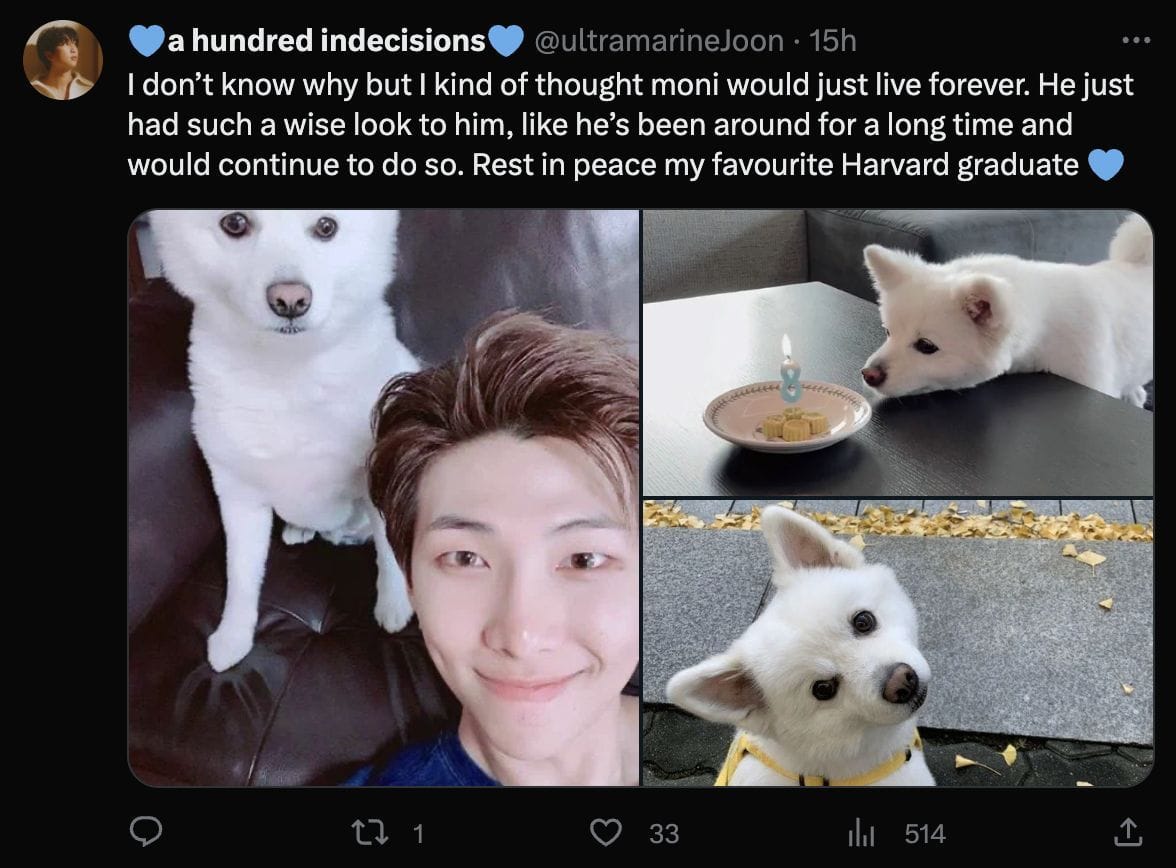 BTS' RM makes a heartbreaking announcement of his pet dog Moni's ...