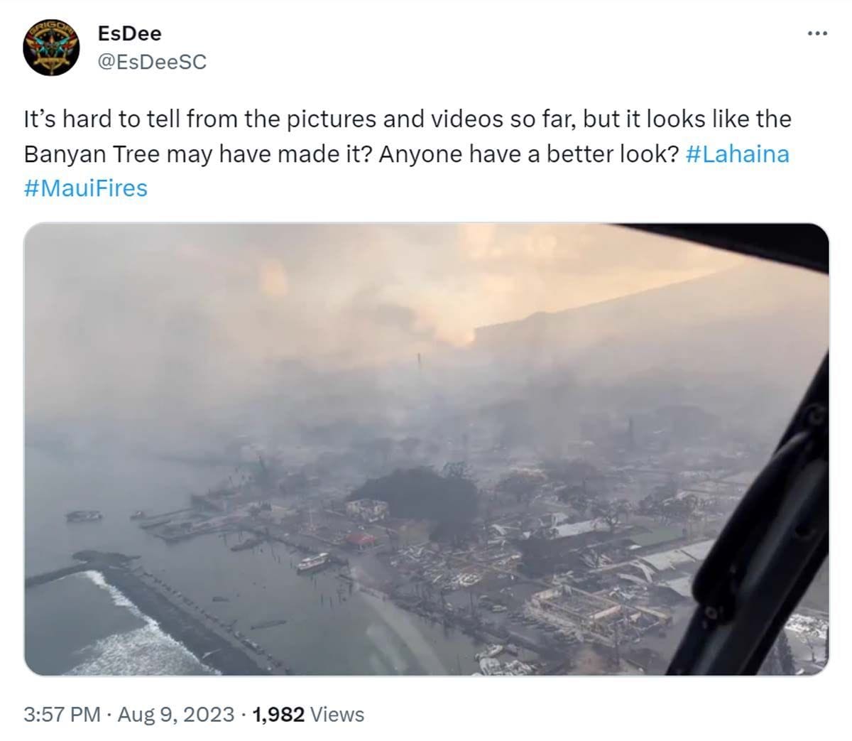 Lahaina: How did the fire in Maui start? Potential Lahaina Banyan tree ...