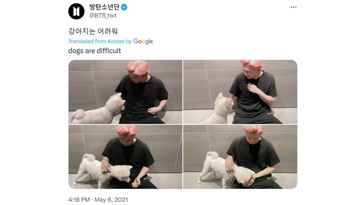 RM's pet Moni: 5 best moments of BTS' Kim Nam-joon with Moni to ...