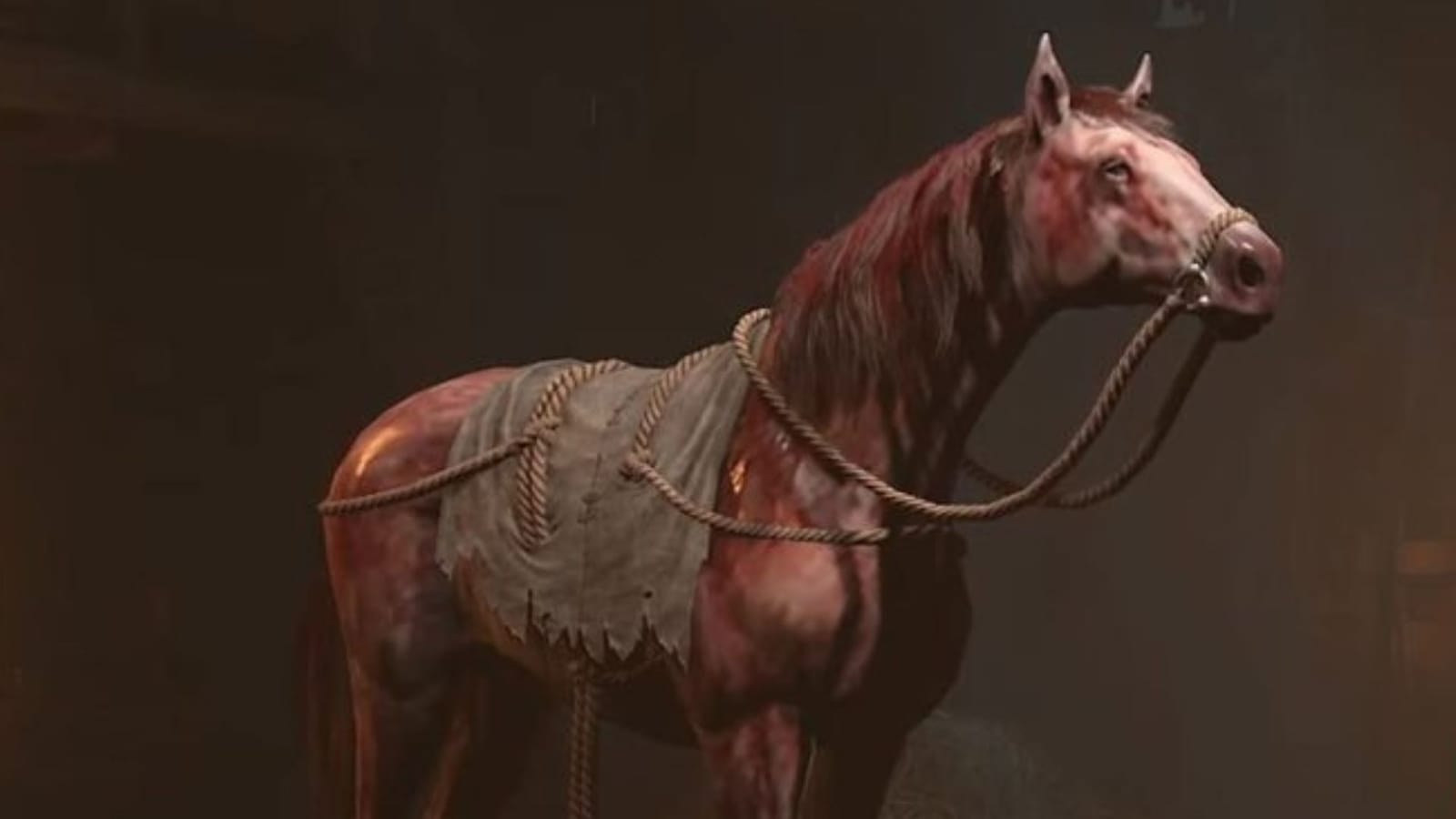 All Diablo 4 mounts drop locations
