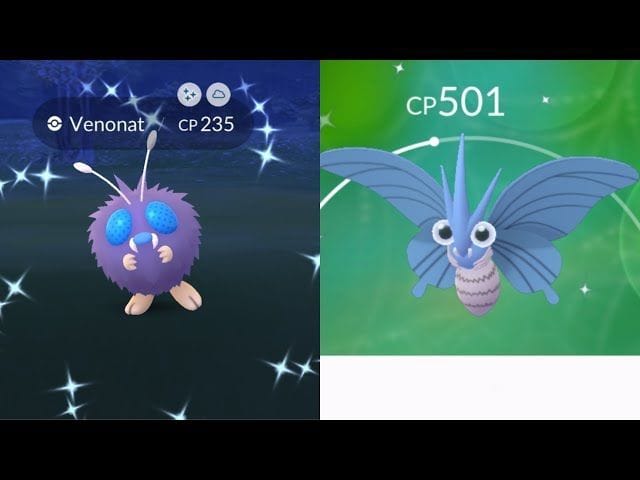 Venomoth PvP and PvE guide in Pokemon GO: Best movesets, counters, and more