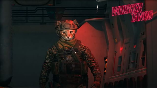 Warzone and MW2 Cat skin bundle: What's included, price, and more