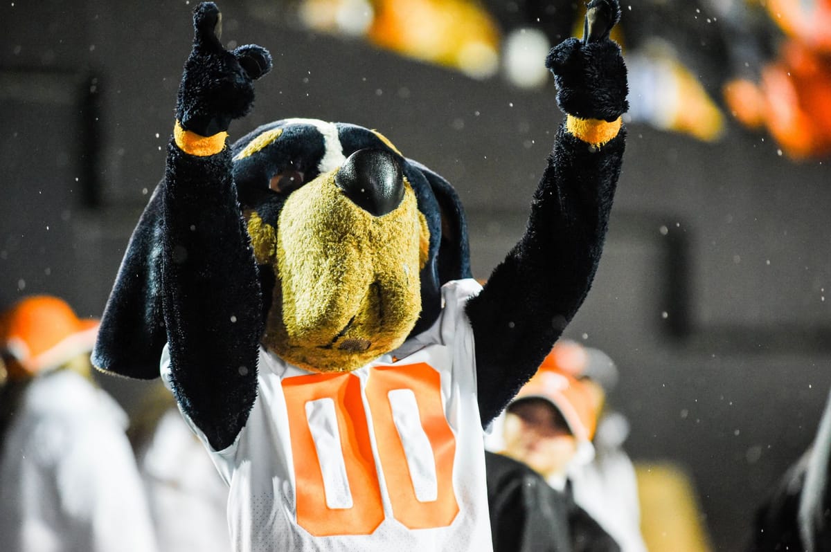 Top 10 best college football mascots 2023 feat. Georgia's UGA, Oregon's ...