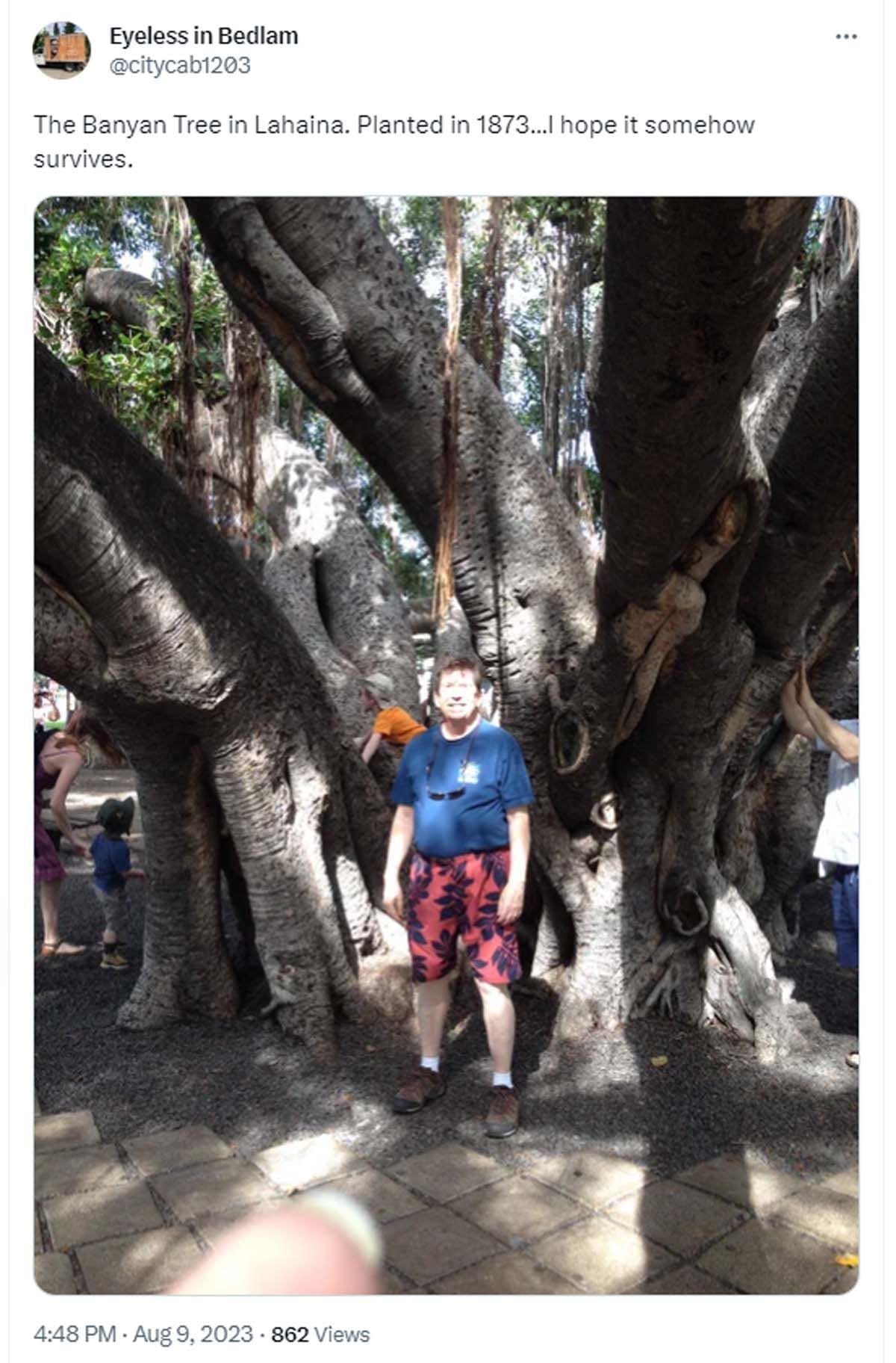 Lahaina: How did the fire in Maui start? Potential Lahaina Banyan tree ...