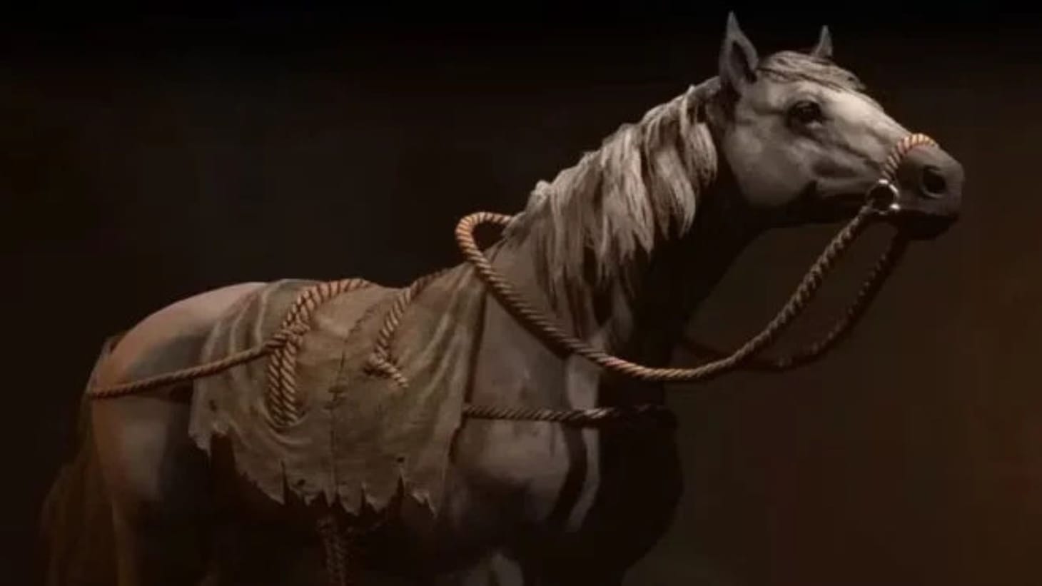 All Diablo 4 mounts drop locations