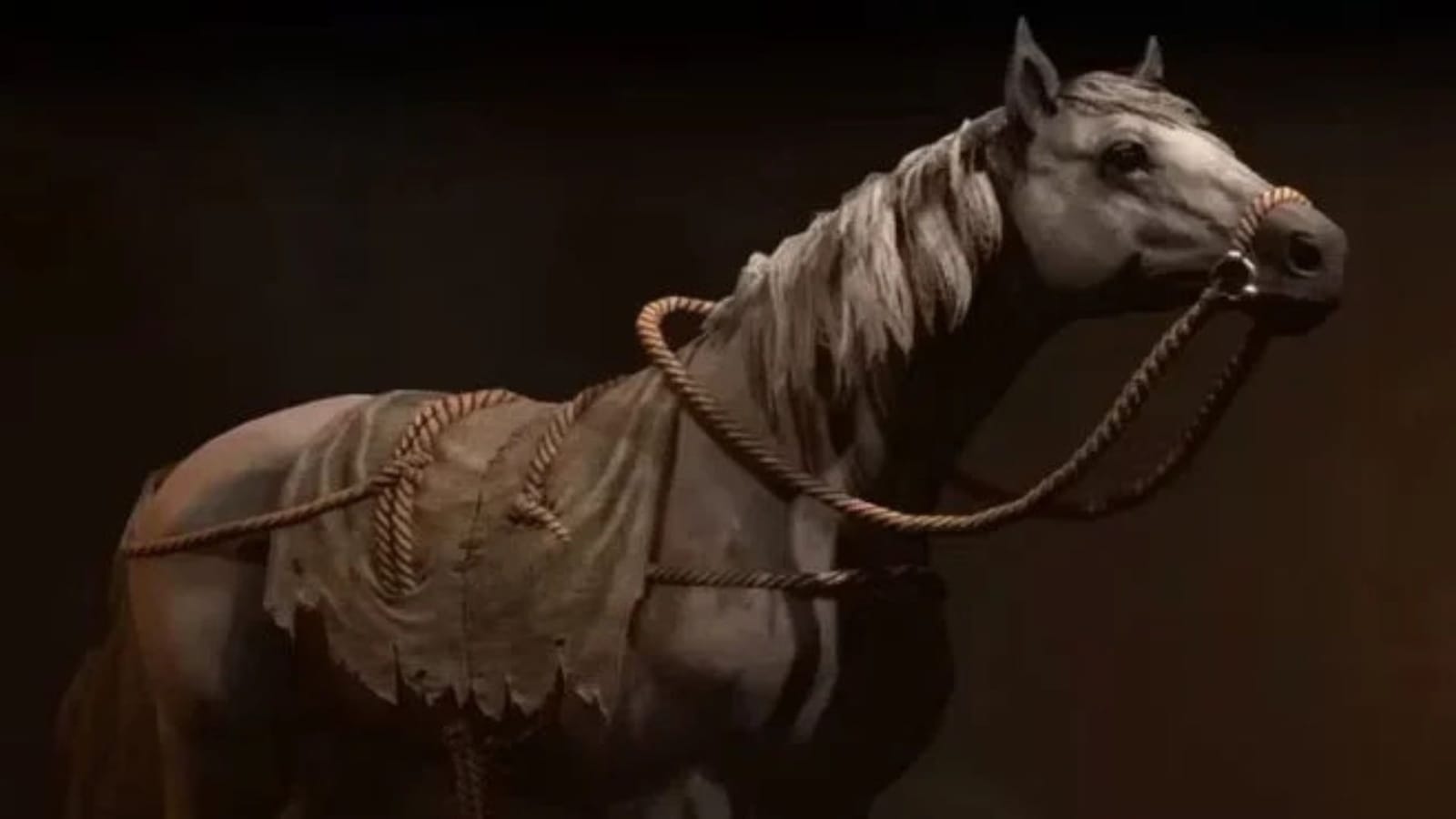 All Diablo 4 mounts drop locations