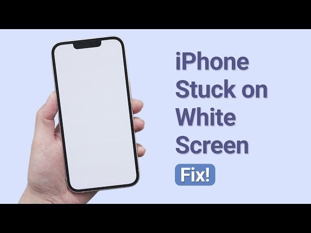Apple iOS 16.6 white screen error: Possible fixes, reasons, affected ...