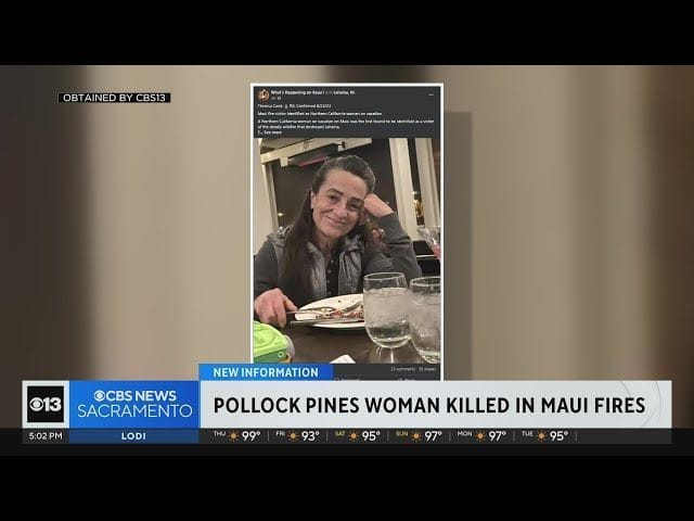 Who was Theresa Cook? 72-year-old identified as first tourist victim of ...