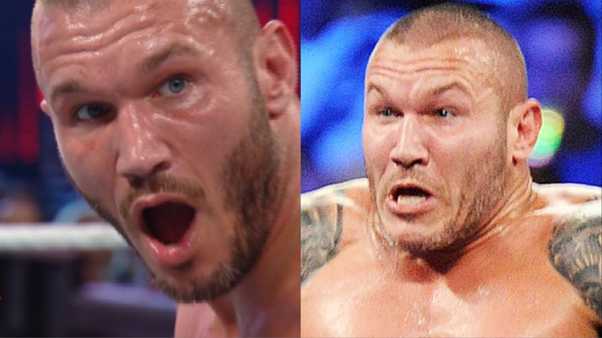 Remember when Randy Orton accidentally knocked out WWE star's wife in the ring? Reflecting on ...