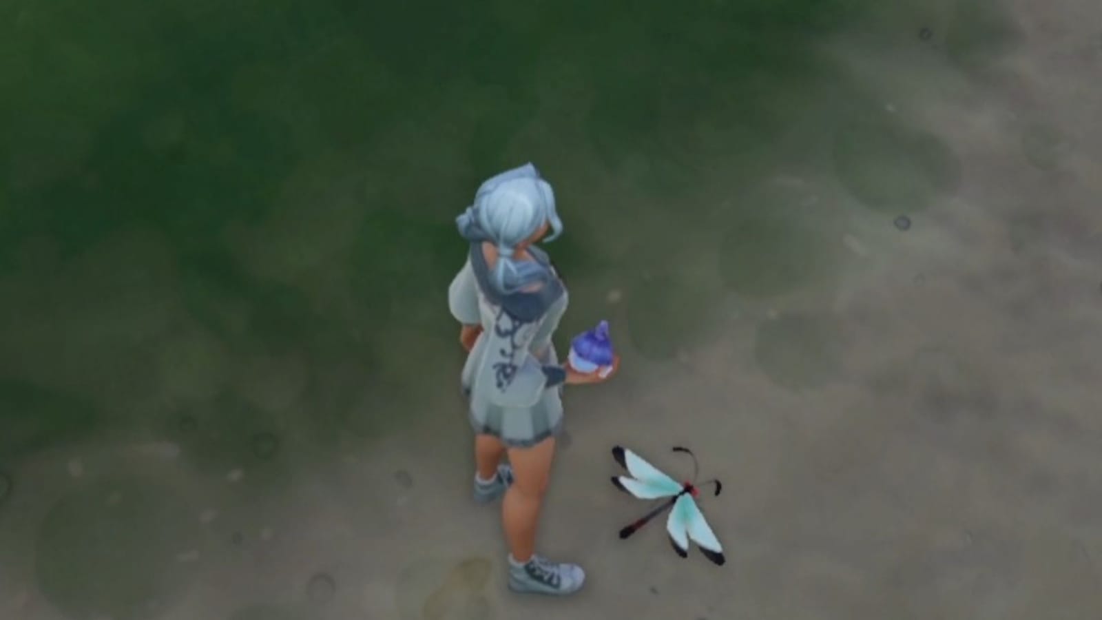 Inky Dragonfly: Palia: Catching the Inky Dragonfly guide