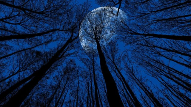 What is a blue moon? How will the lunation affect your zodiac sign revealed