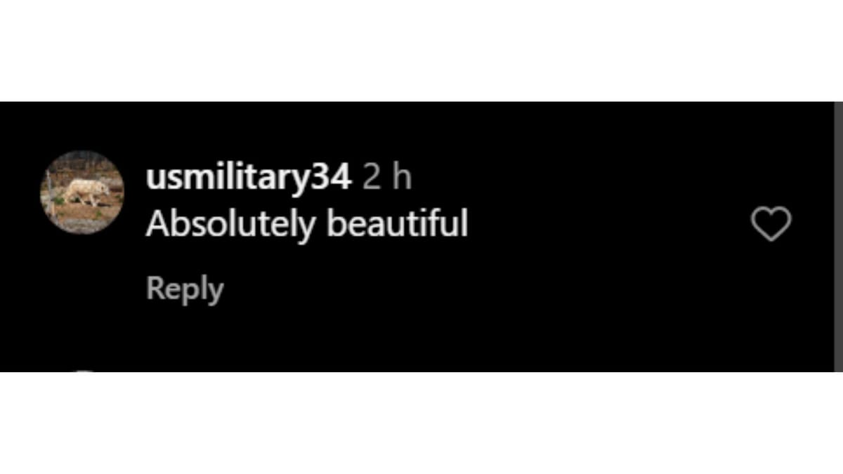 Fans are impressed as Josie Canseco channels Audrey Hepburn on Maxim's ...