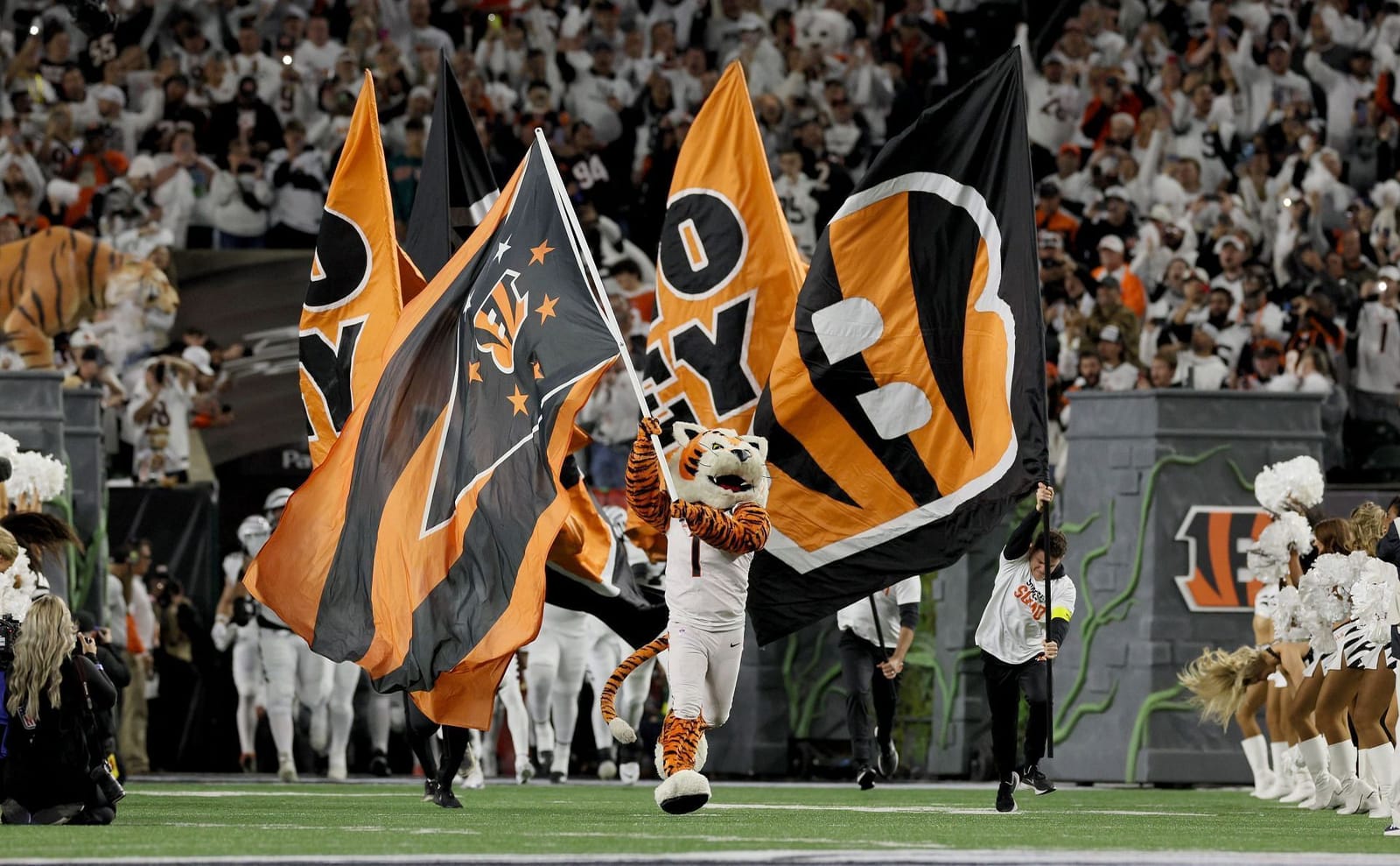 Who Is Cincinnati Bengals Mascot Who Dey?