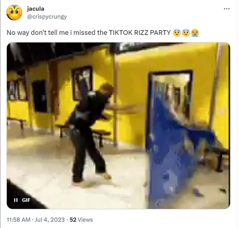 What is the TikTok Rizz Party? Event poster leaves netizens in a frenzy