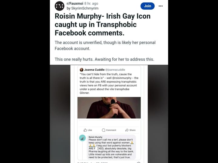 Roisin Murphy: Who is Roisin Murphy? Facebook TERF controversy ...