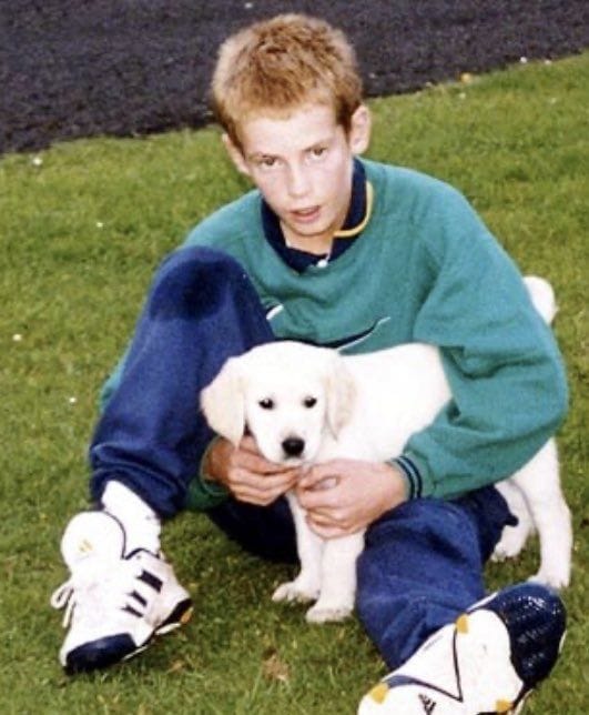 "He can totally identify with this gorgeous fluff ball" - Andy Murray's ...