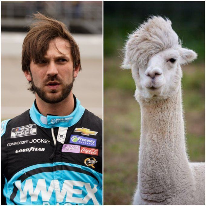 Daniel Suarez trolls himself on social media with a hilarious collage