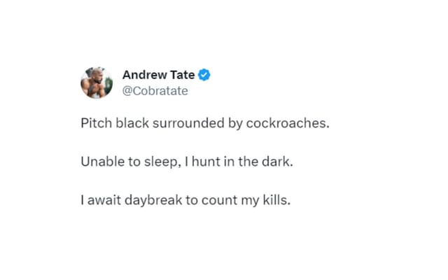 Andrew Tate's 24-hour jail cell recreation live stream: Controversial ...