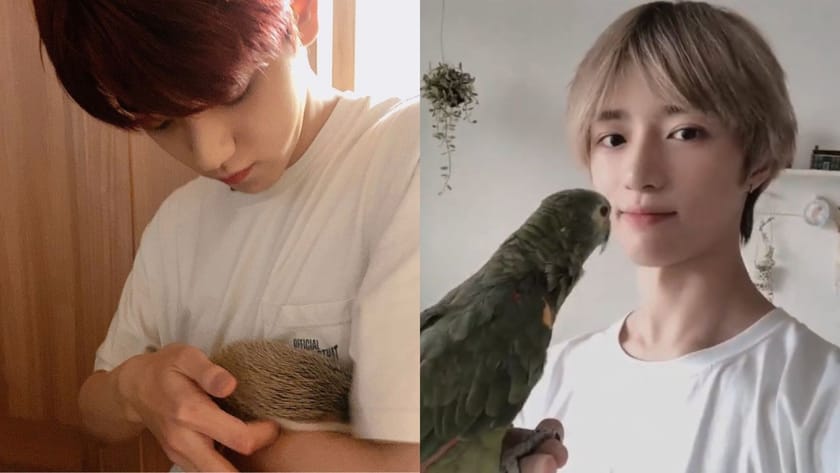 TXT members and their most unique set of pets: Beomgyu's Parrot, Soobin ...