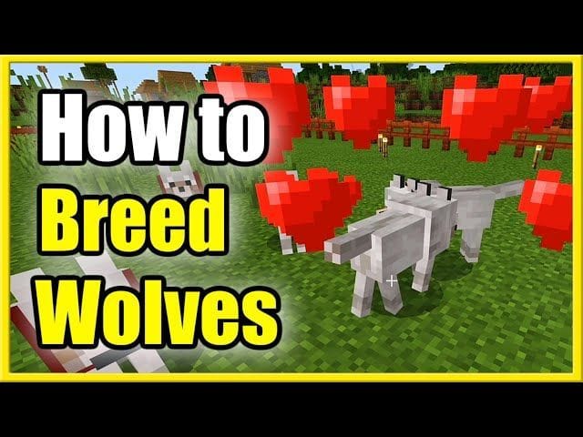 Wolf in Minecraft: Spawning, Behavior, Taming