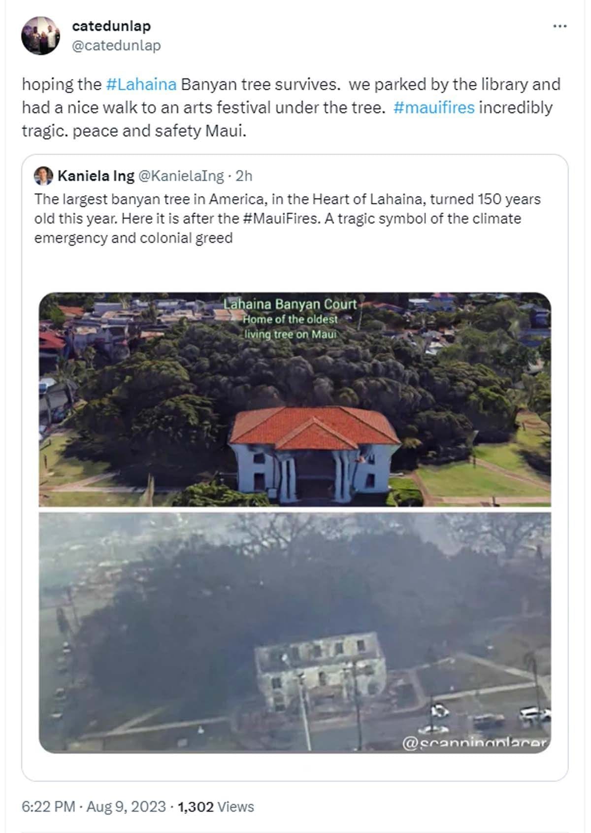 Lahaina: How did the fire in Maui start? Potential Lahaina Banyan tree ...