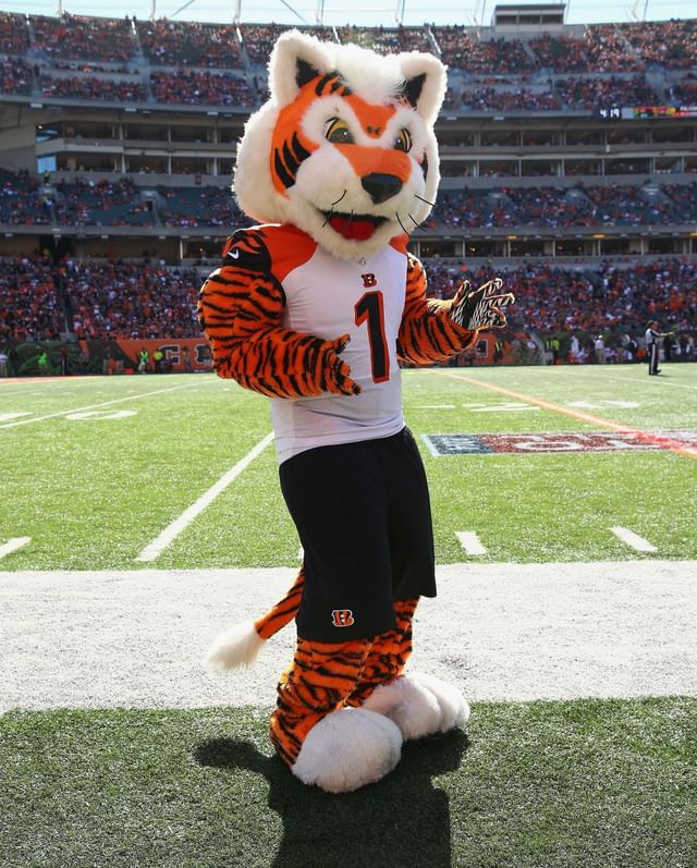 What Animal Is The Cincinnati Bengals Mascot?