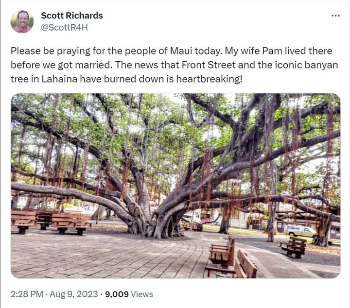 Lahaina: How did the fire in Maui start? Potential Lahaina Banyan tree ...